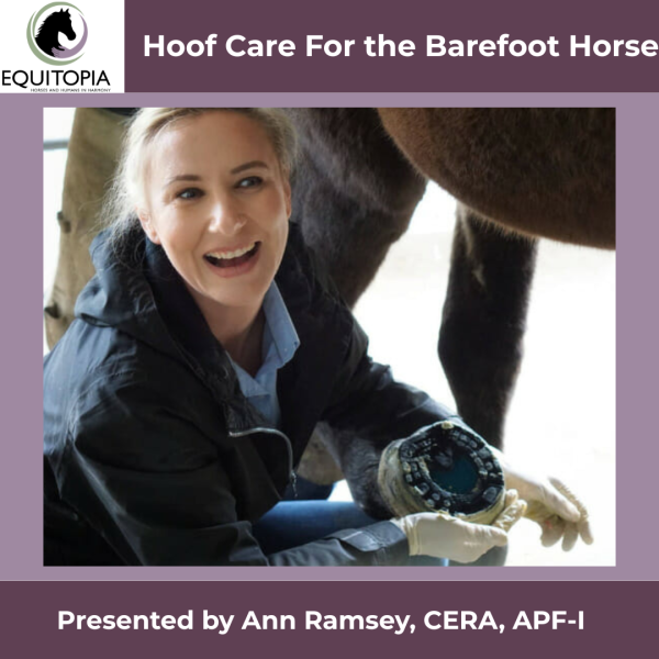 Hoof care for the barefoot horse - Equitopia Center