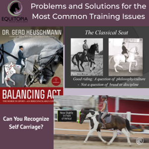 Problems & solutions for the most common training issues - Equitopia Center