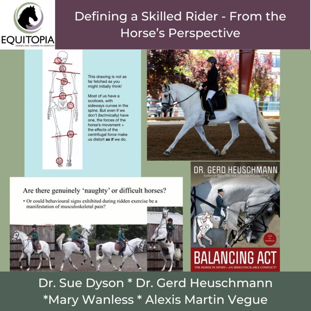 Qualities & characteristics of a skilled rider - Equitopia Center