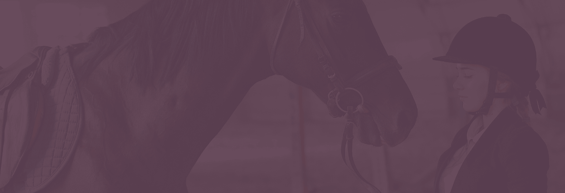 How to recognize the 24 behaviors indicating pain in the ridden horse ...